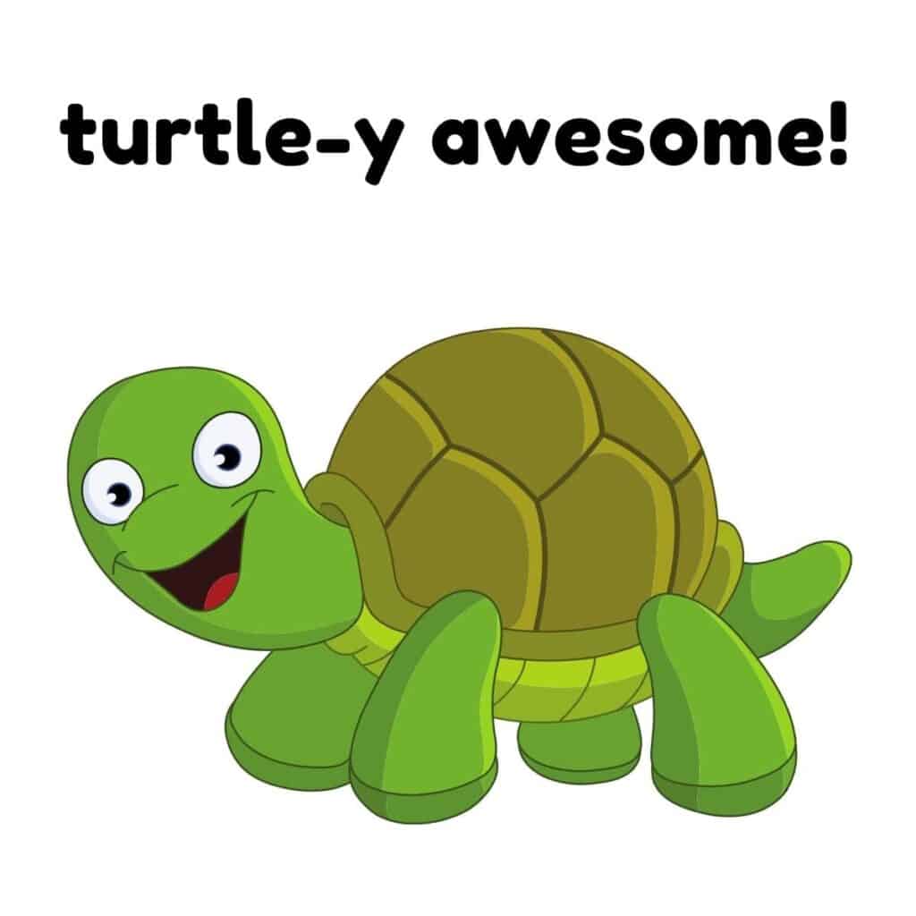 25+ Best Turtle Puns - Box of Puns