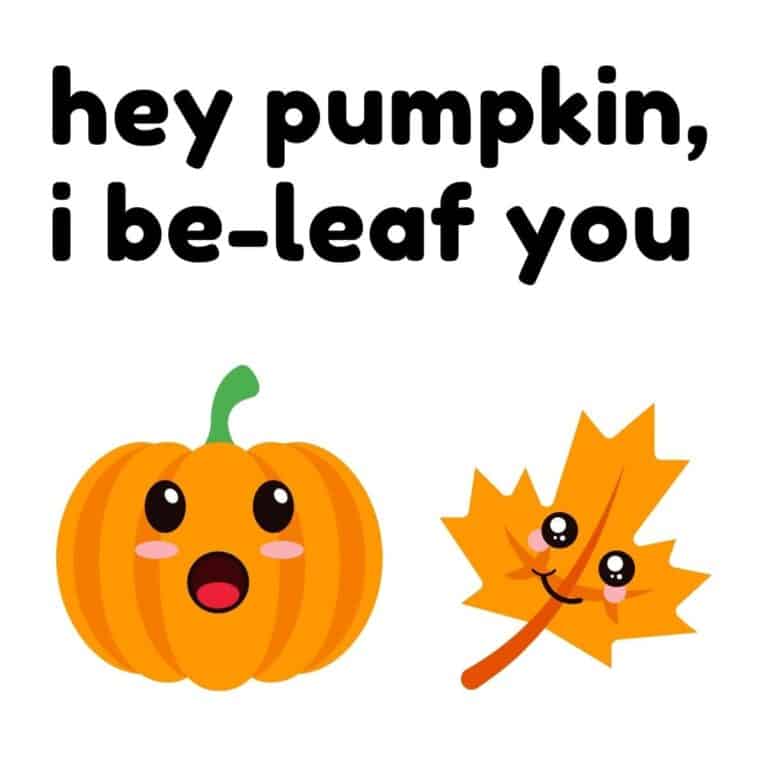 60 Funny Fall Puns That Are Too Gourd - Box of Puns