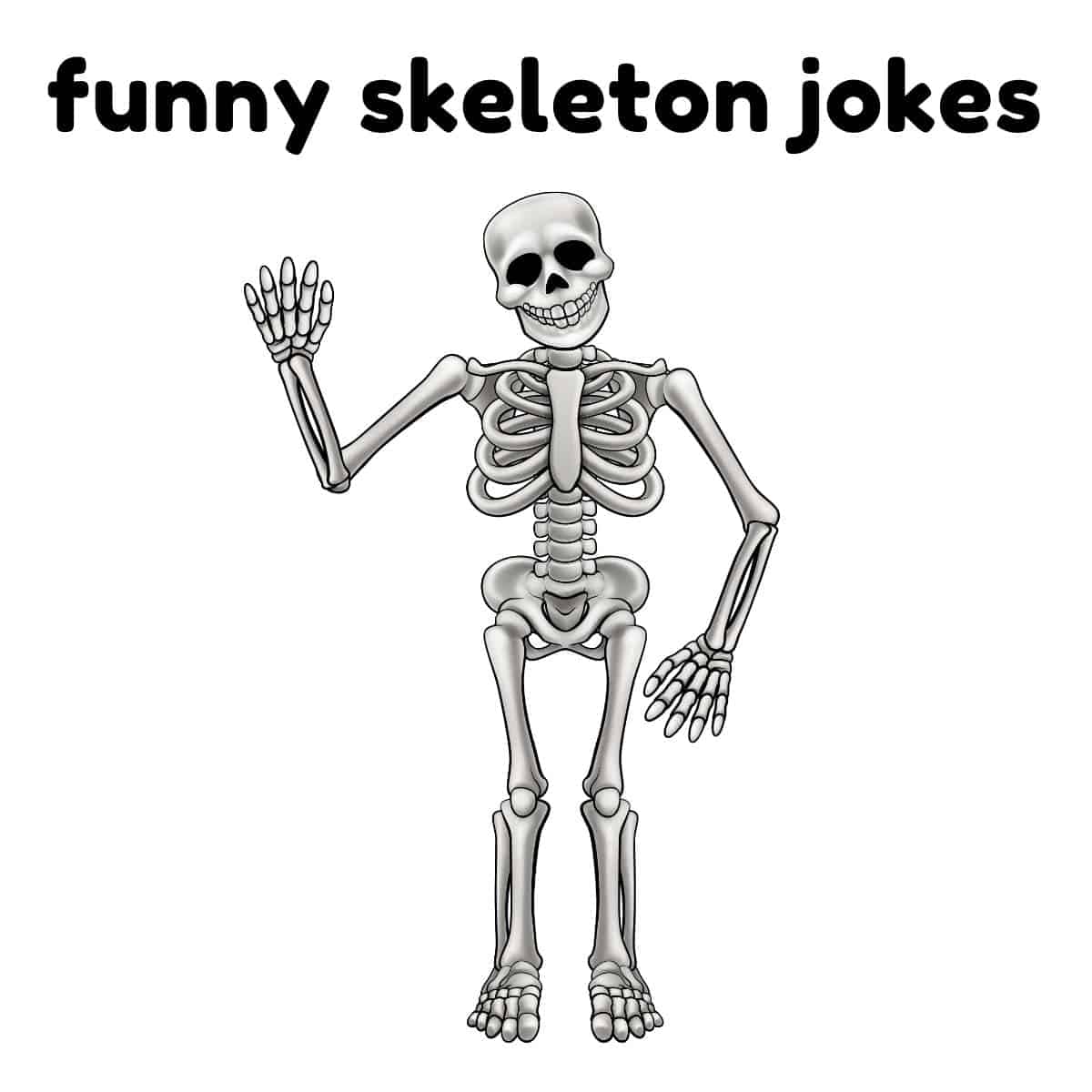 30 Skeleton Jokes That ll Tickle Your Funny Bone Box Of Puns