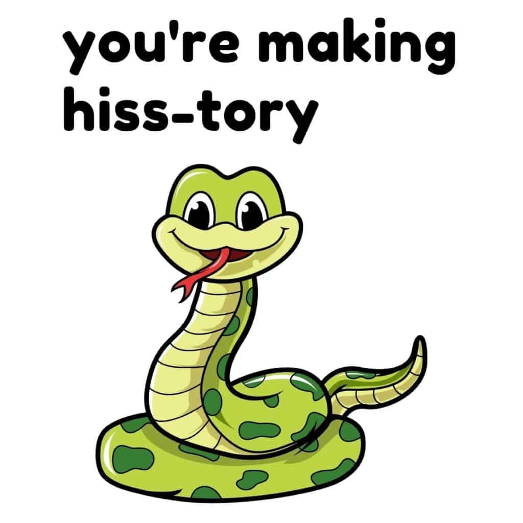 45+ Best Snake Puns You’ll Find Hiss-terical - Box of Puns
