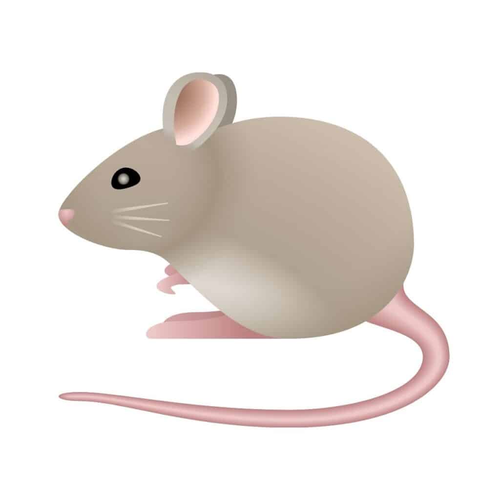 30+ Mouse Puns That’ll Have You Squeaking - Box of Puns