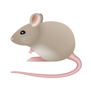 30+ Mouse Puns That’ll Have You Squeaking - Box of Puns