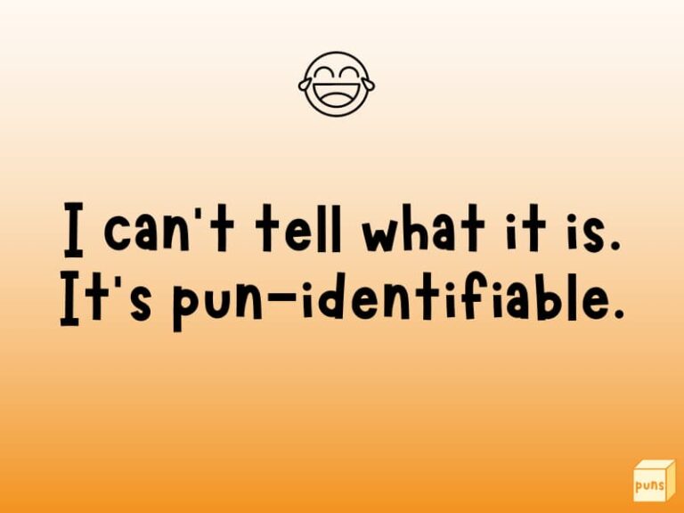 75 Best Puns about Puns That Are Pun-Believably Punny - Box of Puns