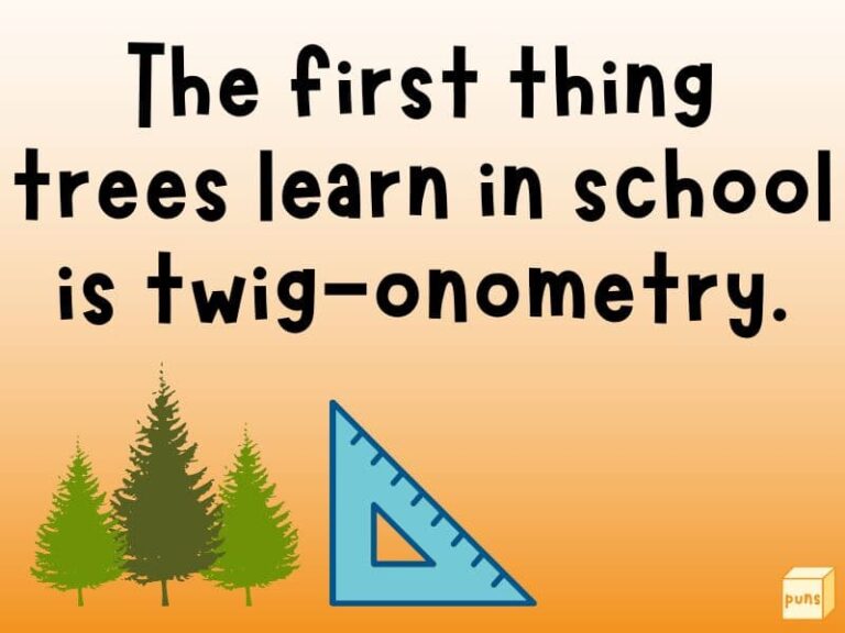 145+ Hilarious Tree Puns and Jokes - Box of Puns