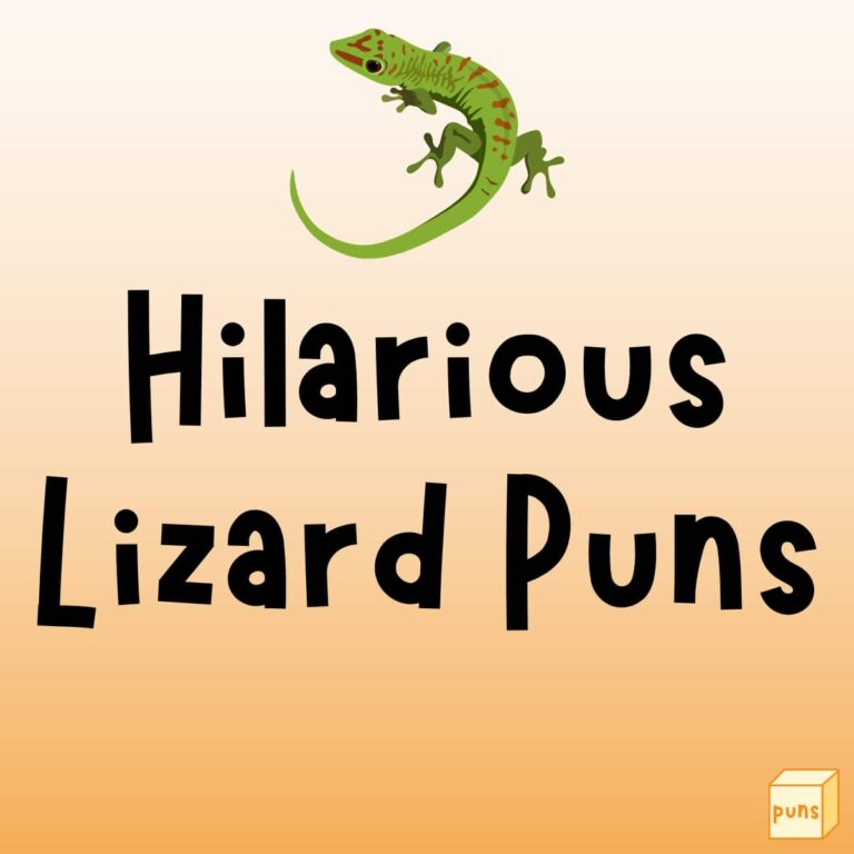 55+ Funny Lizard Puns Anole You’ll Love - Box of Puns