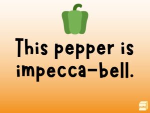 55+ Hilarious Pepper Puns to Make You Laugh - Box of Puns
