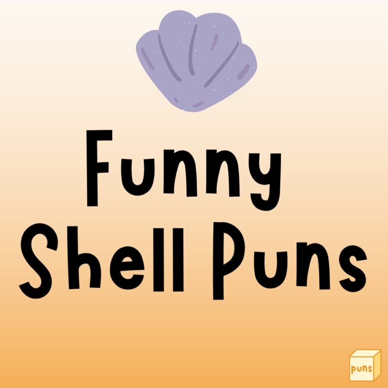 105+ Best Shell Puns That Are Shell-arious - Box of Puns