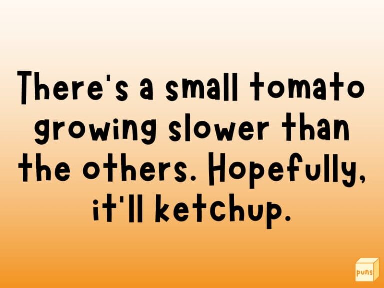 35+ Hilarious Tomato Puns to Make You Laugh - Box of Puns