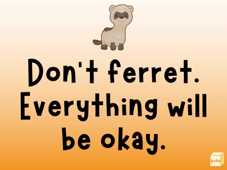 30+ Hilarious Ferret Puns to Make You Laugh - Box of Puns