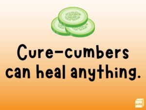 45+ Hilarious Cucumber Puns to Pickle Your Funny Bone - Box of Puns