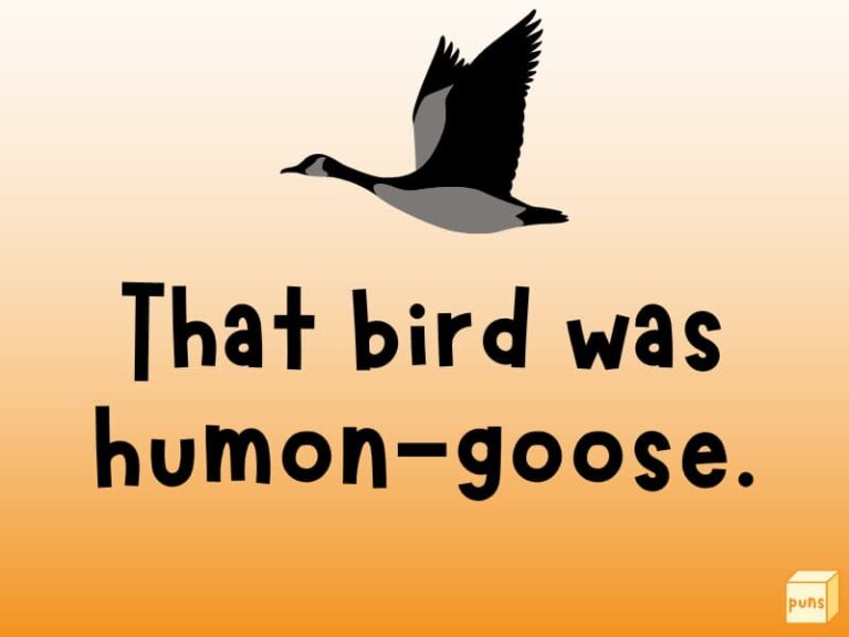 55+ Funny Goose Puns to Make You Honk with Laughter - Box of Puns
