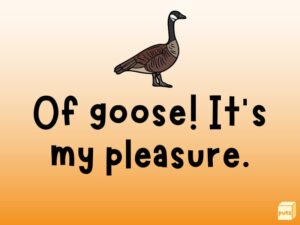 55+ Funny Goose Puns to Make You Honk with Laughter - Box of Puns
