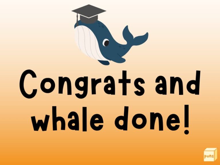 105+ Hilarious Graduation Puns for Captions - Box of Puns