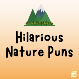 105+ Funny Nature Puns to Make You Laugh - Box of Puns