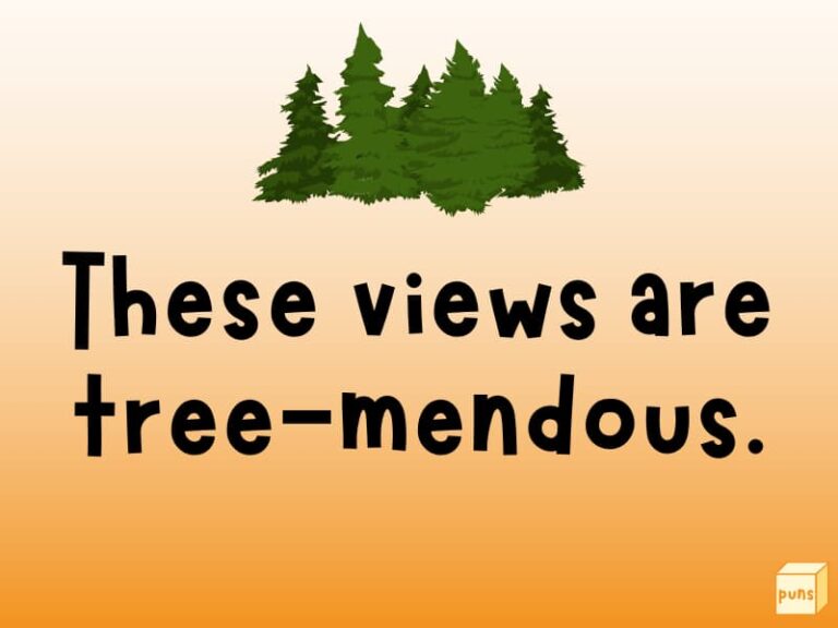 105+ Funny Nature Puns to Make You Laugh - Box of Puns