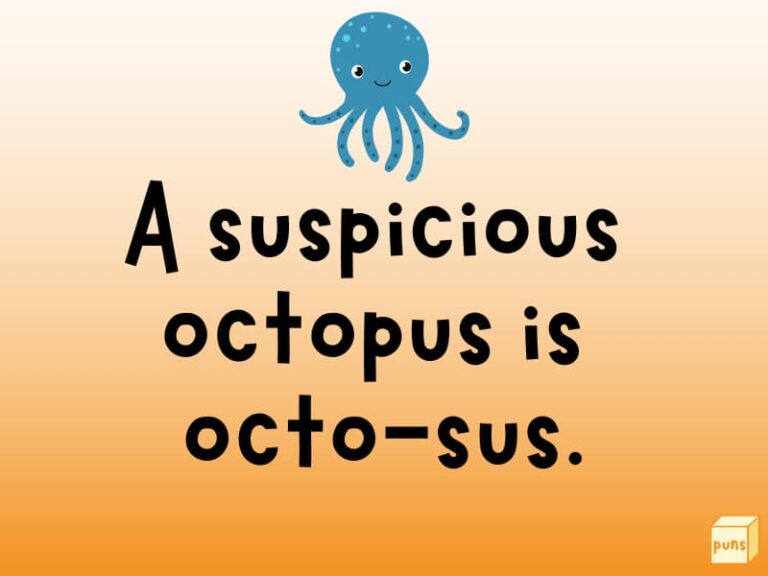 70+ Funny Octopus Puns to Make You Laugh - Box of Puns