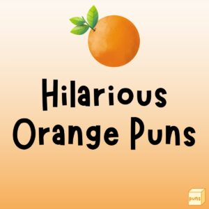 40+ Hilarious Orange Puns That Are So Sweet and Juicy - Box of Puns