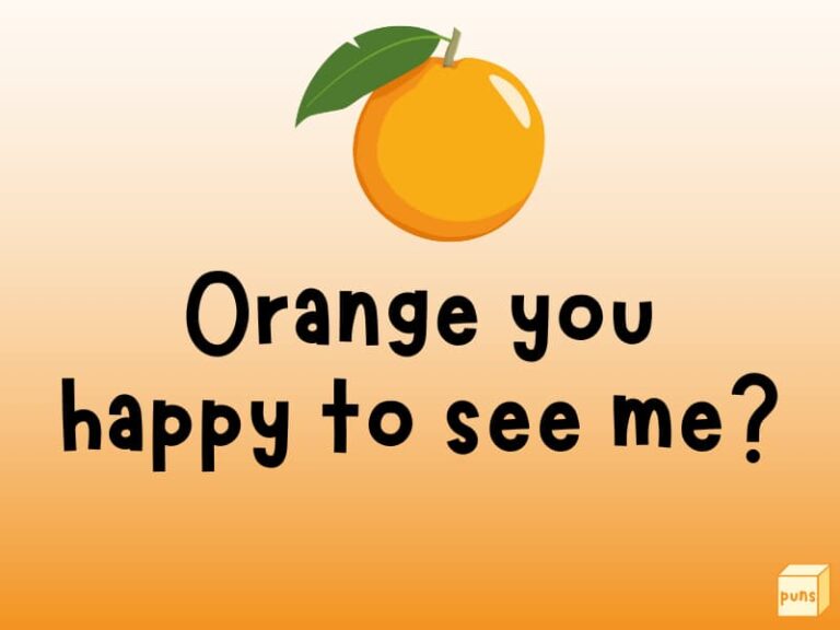 40+ Hilarious Orange Puns That Are So Sweet and Juicy - Box of Puns