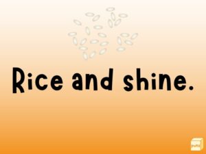 75+ Hilarious Rice Puns to Make You Laugh - Box of Puns