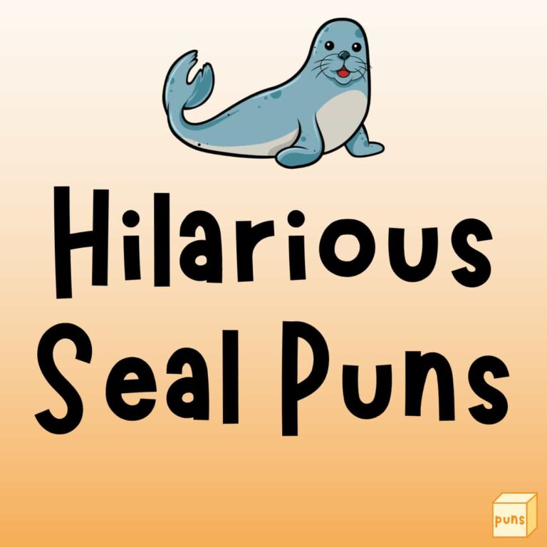 50+ Hilarious Seal Puns That Seal the Laughter Deal - Box of Puns