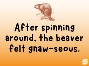 70+ Beaver Puns That Are Too Dam Funny - Box of Puns