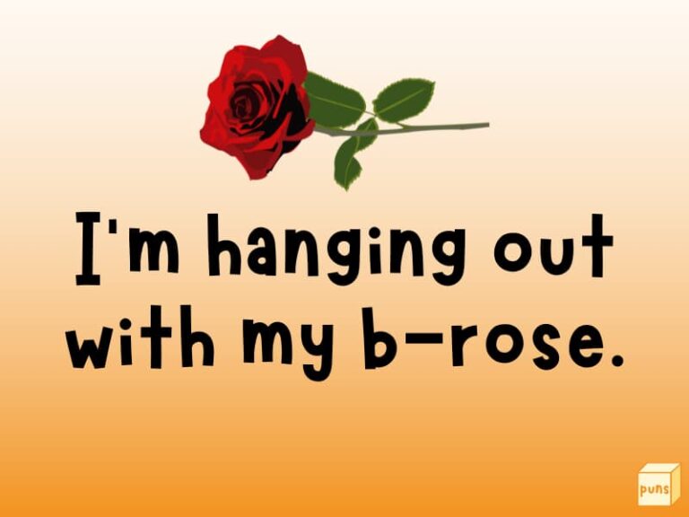 105+ Hilarious Rose Puns to Make You Laugh - Box of Puns