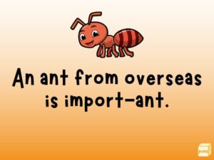 115+ Funny Ant Puns to Make You Laugh Ant-il You Cry - Box of Puns