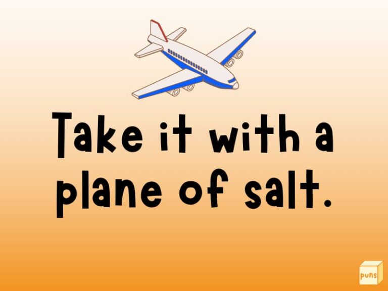 90+ Funny Airplane Puns to Fly With Laughter - Box of Puns