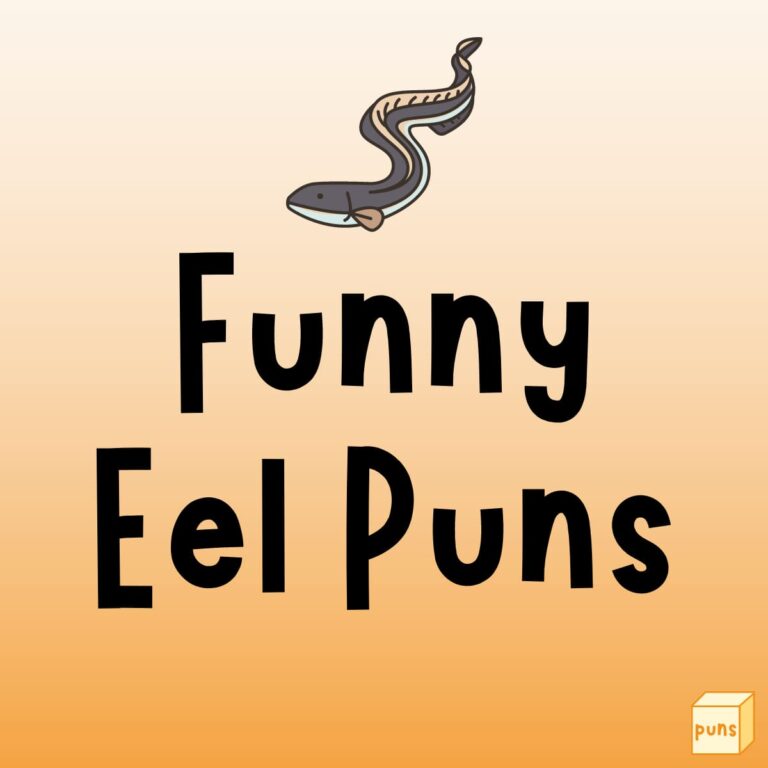 60+ Funny Eel Puns to Make You Laugh - Box of Puns
