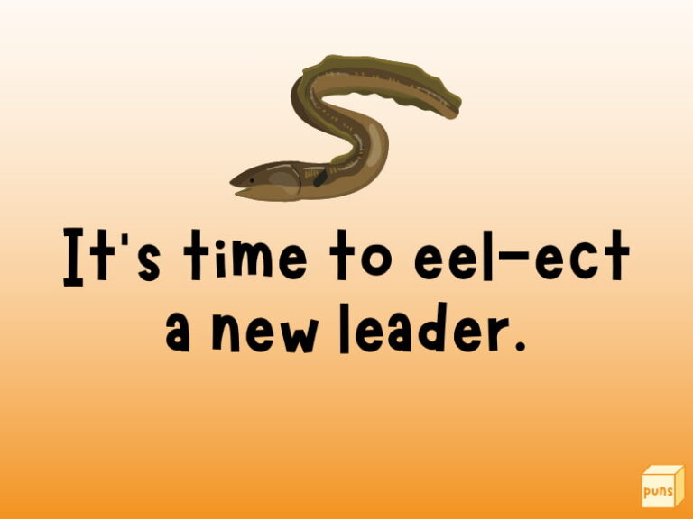 60+ Funny Eel Puns to Make You Laugh - Box of Puns