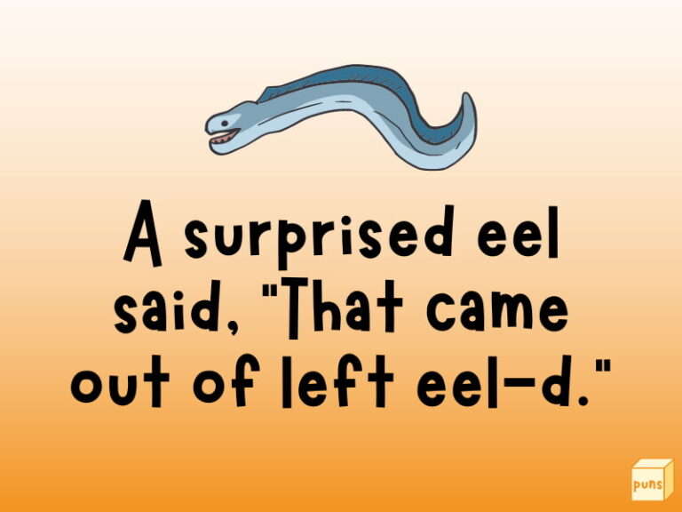 60+ Funny Eel Puns to Make You Laugh - Box of Puns