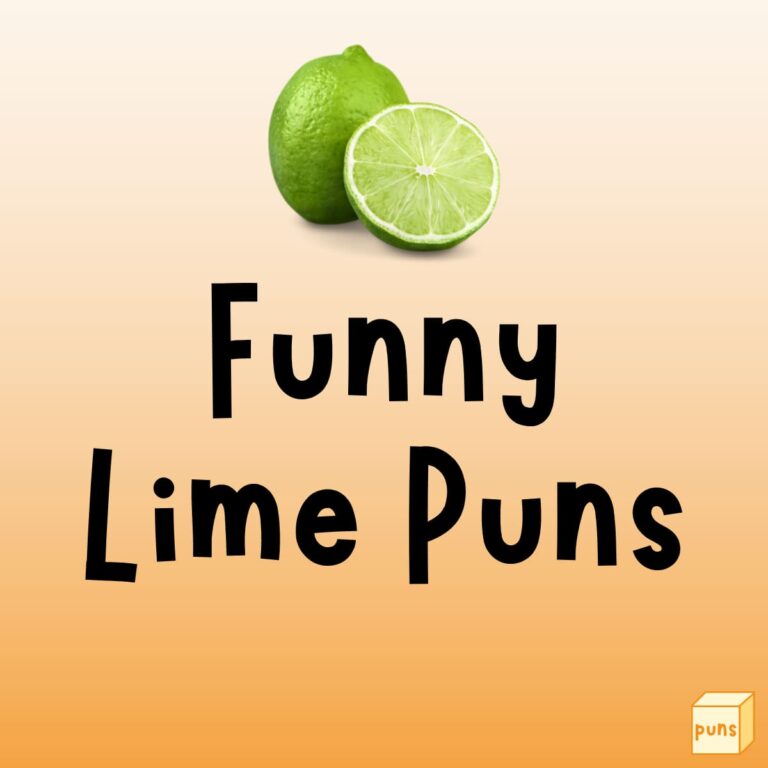 50+ Lime Puns That Are Sour Funny - Box of Puns