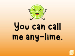 50+ Lime Puns That Are Sour Funny - Box of Puns