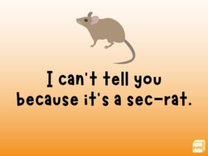 50+ Hilarious Rat Puns - Box of Puns