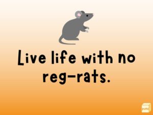 50+ Hilarious Rat Puns - Box of Puns