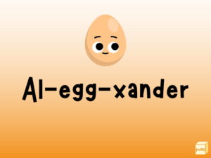 75+ Best Egg Pun Names - Box of Puns