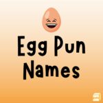 75+ Best Egg Pun Names - Box of Puns