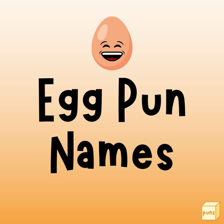 75 Best Egg Pun Names Box Of Puns