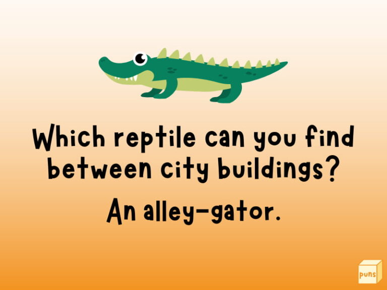 45+ Hilarious Alligator Jokes - Box of Puns