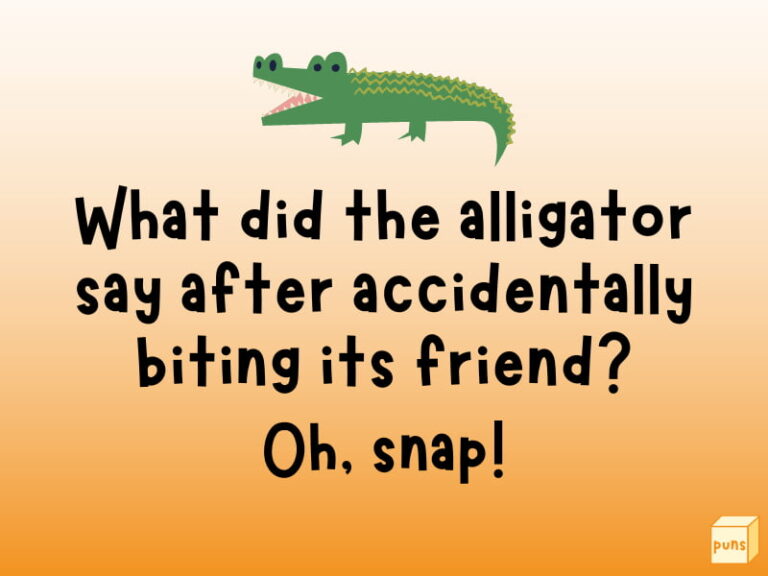 45+ Hilarious Alligator Jokes - Box of Puns