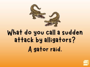 45+ Hilarious Alligator Jokes - Box of Puns