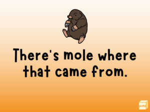60+ Funny Mole Puns - Box of Puns