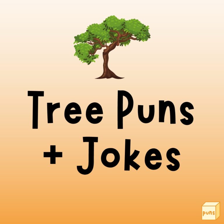 145+ Hilarious Tree Puns and Jokes - Box of Puns