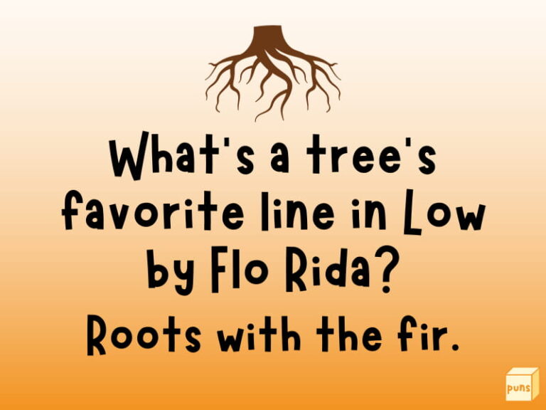 145+ Hilarious Tree Puns and Jokes - Box of Puns